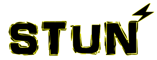 株式会社STUN